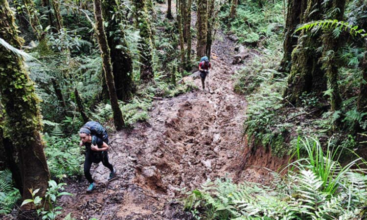 Best Hiking Experience at Mount Apo Davao Philippines 2023
